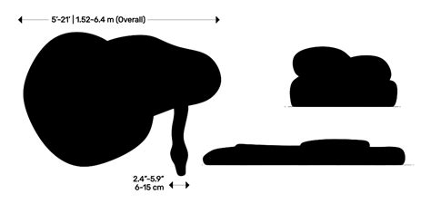 Reticulated Python Malayopython Reticulatus Dimensions And Drawings
