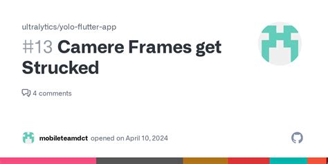 Camere Frames Get Strucked · Issue 13 · Ultralytics Yolo Flutter App · Github