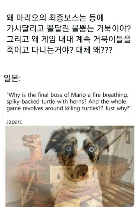 왜 마리오 보스는 뿔 달린 거북이야 유머 움짤 이슈 에펨코리아