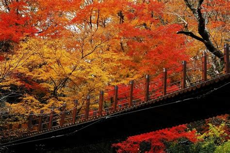 花貫渓谷紅葉まつり2024年 花貫渓谷で楽しむ美しい紅葉 花貫渓谷紅葉まつり開催情報 茨城県高萩市 いこーよとりっぷ