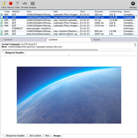 Webber Debugging Proxy