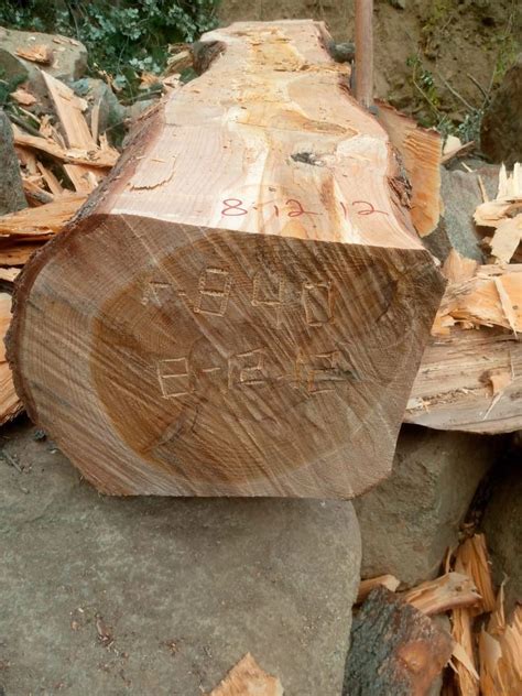 Ismail Muhammad On Linkedin Ecosystem Disturbance Harm Humans