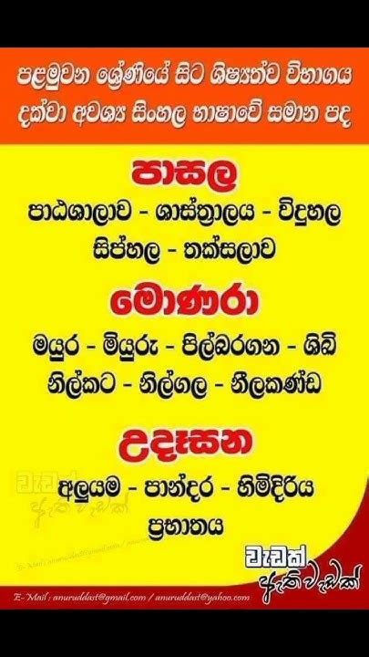 දැනුමට යමක් ️ ️ ️ ️ Youtube