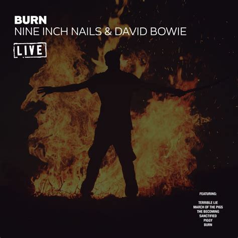 Burn Live Nine Inch Nails Qobuz