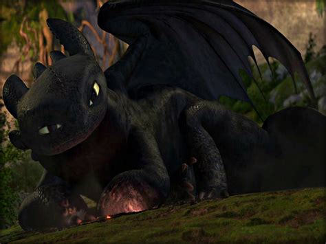 Image Toothless Laying On Fire Flutterbutter Wiki Fandom