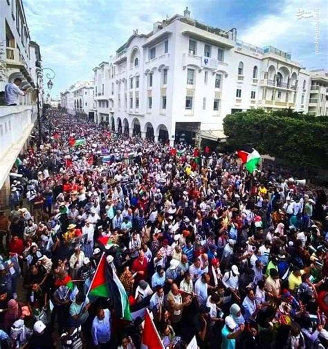 آخرین خبر عکس حضور گسترده مراکشی‌ها در حمایت از فلسطین