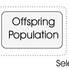 Iteration Loop Of The Evolutionary Algorithm First Offspring Are