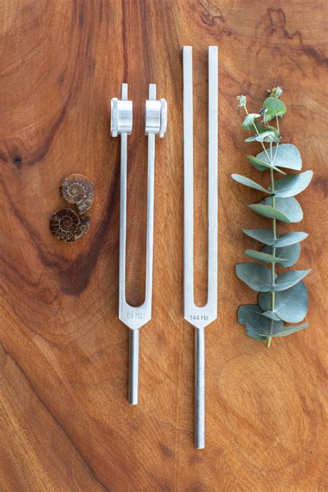 Fibonacci Pair Tuning Fork Kit SonoKi Sound Healing