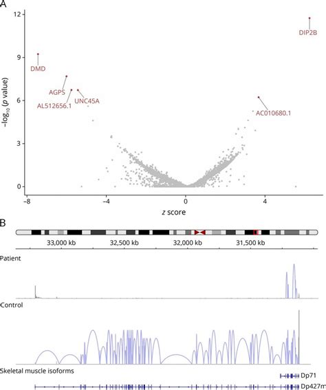 Skeletal Muscle Transcriptome Analysis Download Scientific Diagram