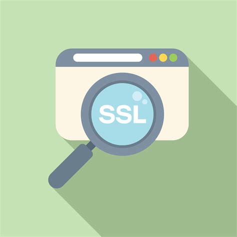 Search Ssl Certificate Icon Flat Vector Network Security 20248626
