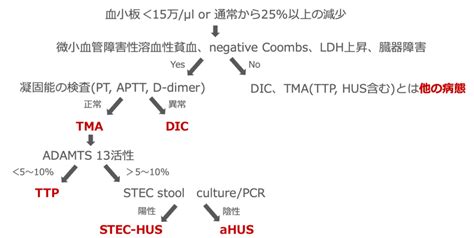 ICUにおける血小板減少の鑑別と血小板輸血の適応 ICUと呼吸器外来のあいだ