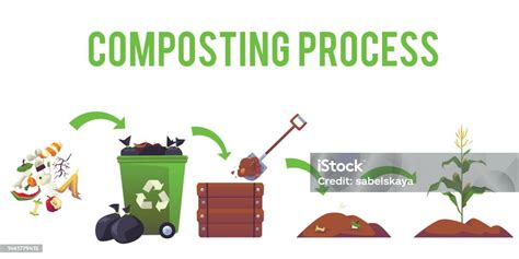 Composting Process Stages And Arrows Flat Style Vector Illustration