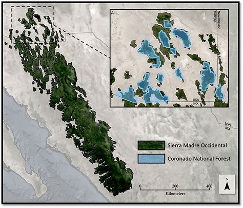 Frontiers Multiscale Ecological Niche Modeling Exhibits Varying