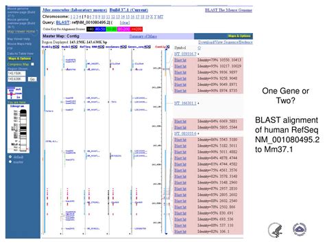 Ppt Ncbis Genome Annotation Overview Powerpoint Presentation Free