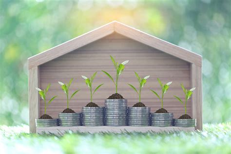 자연 녹색 배경 비즈니스 투자 및 부동산 개념과 동전 돈의 스택에 성장 나무와 모델 집 0명에 대한 스톡 사진 및 기타 이미지