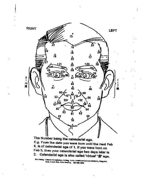 14 Best Images About Chinese Face Reading Chart On Pinterest