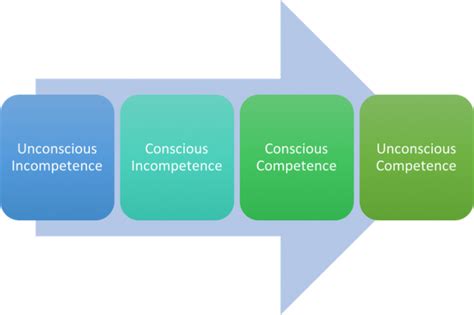 The Learning Journey Competence And Perspective Scentsabilities Nosework