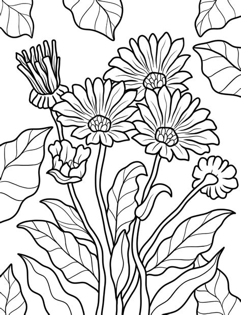 Desenhar Flor Para Imprimir Para Colorir Imprimir E Desenhar