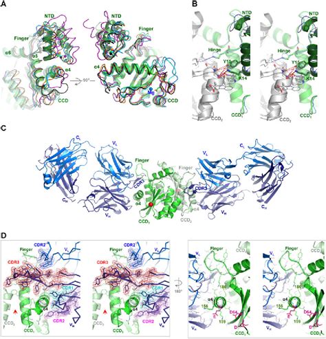 Figure 1 From The Preserved Hth Docking Cleft Of Hiv 1 Integrase Is Functionally Critical