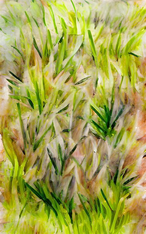 Premium Photo Digital Illustration Abstract Background Drawn Grass