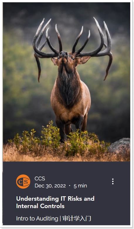 CCS Co Plt Understanding IT Risks And Internal Controls