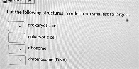 Put The Following Structures In Order From Smallest To Largest Prokaryotic Cell Eukaryotic