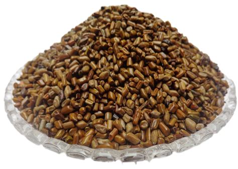 Cassia Tora Seeds Manufacturersupplierexporter