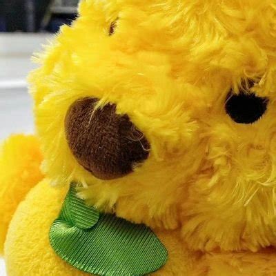 hiroro on Twitter 羽生結弦 YuzuruHanyu https t co N5SkLl8KFU Twitter