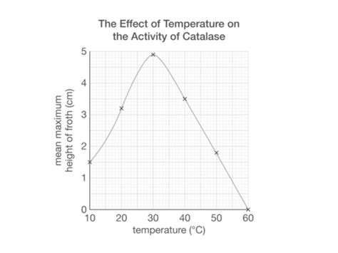 Biology Added Value ~ Effect Of Temperature On Catalase Flashcards