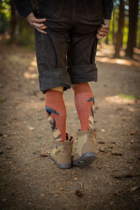 Nevermore Knee High Sock Dreams