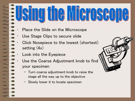 Introduction To The Microscope Ppt Download