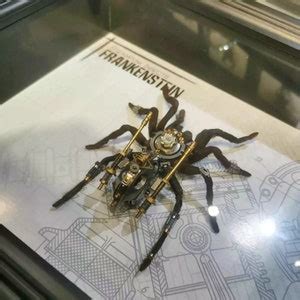 Steampunk Tarantula Spider Features A Wheel Like Abdomen Generates And