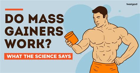 Do Mass Gainers Work What The Science Says