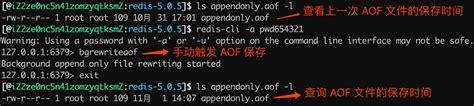 04 Redis 持久化——aof