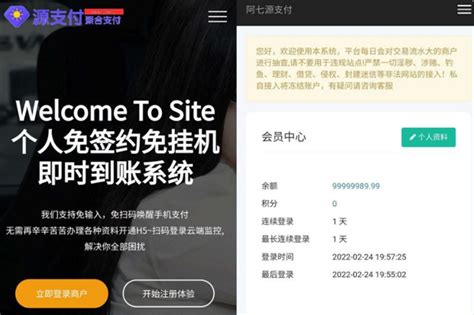 支付平台源码第三方支付源码聚合支付源码下载 鸾鸟资源网