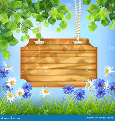 Wooden Board Grass Background Stock Illustrations 4804 Wooden Board