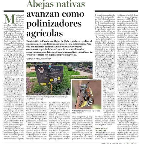 Comarcas Fundación Abejas De Chile