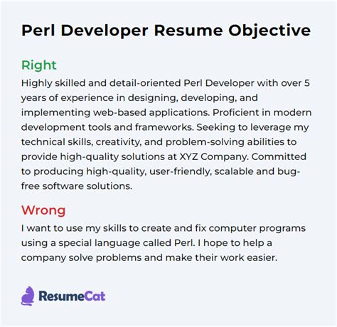 Top 18 Perl Developer Resume Objective Examples ResumeCat