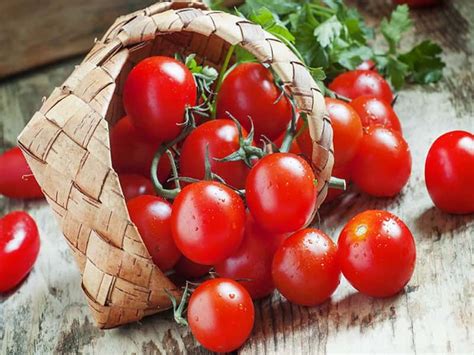 گوجه فرنگی گیلاسی؛ قرمز سبز سیاه 3 کاربرد غذا نوشیدنی سالاد آراد برندینگ