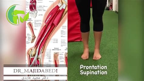 حرکات اصلاحی جهت صافی کف پا نماشا