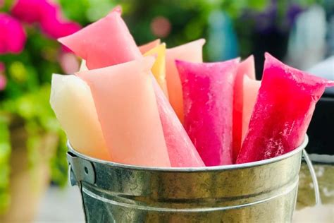 Gourmet Otter Pops Heres How To Make This Elevated Summer Treat