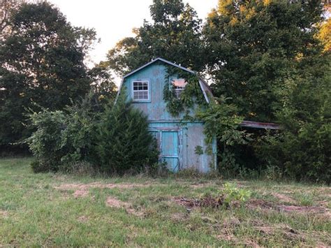 23 Year Old And His Dad Turn Home Depot Shed Into Oversized Tiny Home