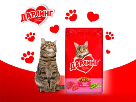 О бренде ДАРЛИНГ для кошек - Обзор сухих и влажных кормов