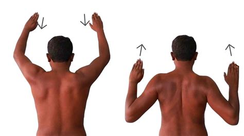 6 Easy Exercises For Snapping Scapula Syndrome To Cure Shoulder Blade Pain