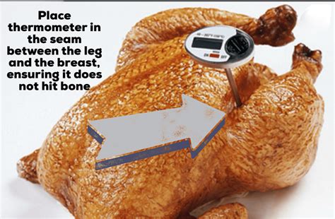 Beginners Guide To Cooking The Perfect Turkey Made By Moni