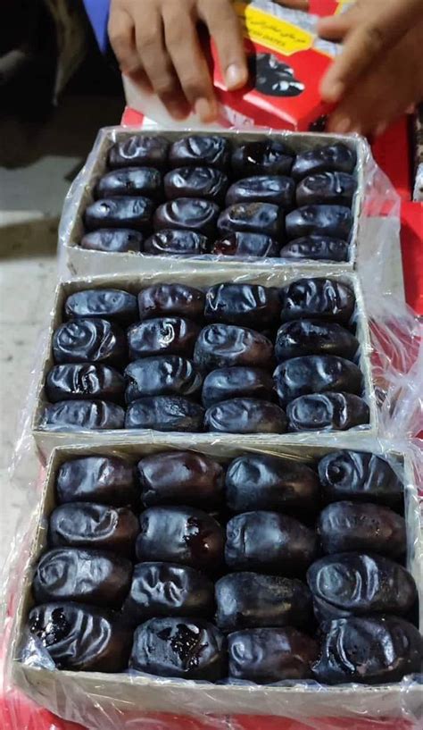 خرما مضافتی و کلوته محمد امین صالحی