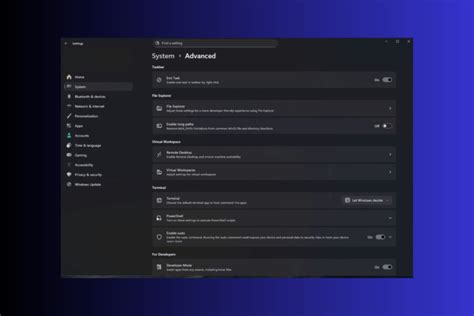 New Advanced Settings arrive in Windows 11: how to enable them