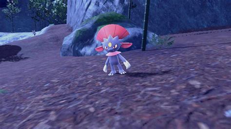 How To Evolve Sneasel Into Weavile In Pokémon Scarlet And Violet