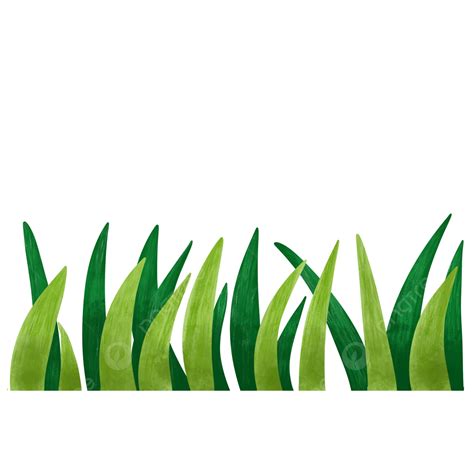 Hình ảnh Minh Họa Cỏ Xanh PNG Cỏ Màu Xanh Lá đồng Cỏ PNG miễn phí