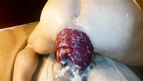 Gay Mancunt Worship Compilation Part 2 Xhamster